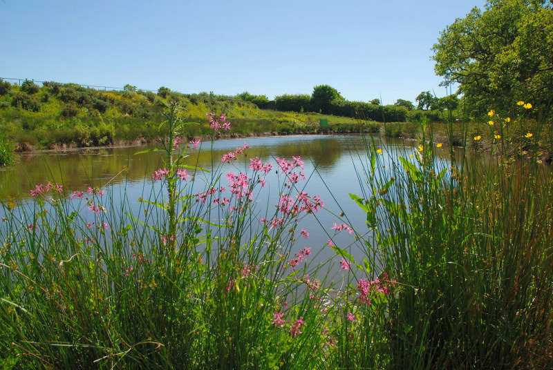 Higher Shorston Lakes and Lodges - Visit Devon's Ruby Country